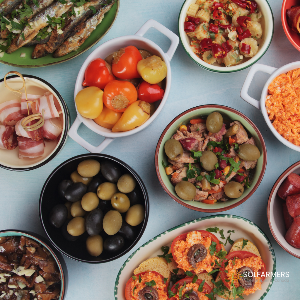 Top 10 foods to try in Spain – Solfarmers