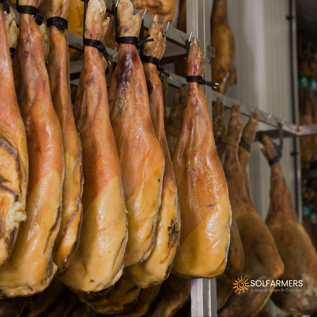 A Guide to Spain's Finest Hams: Cebo, Bellota, and Serrano – Solfarmers